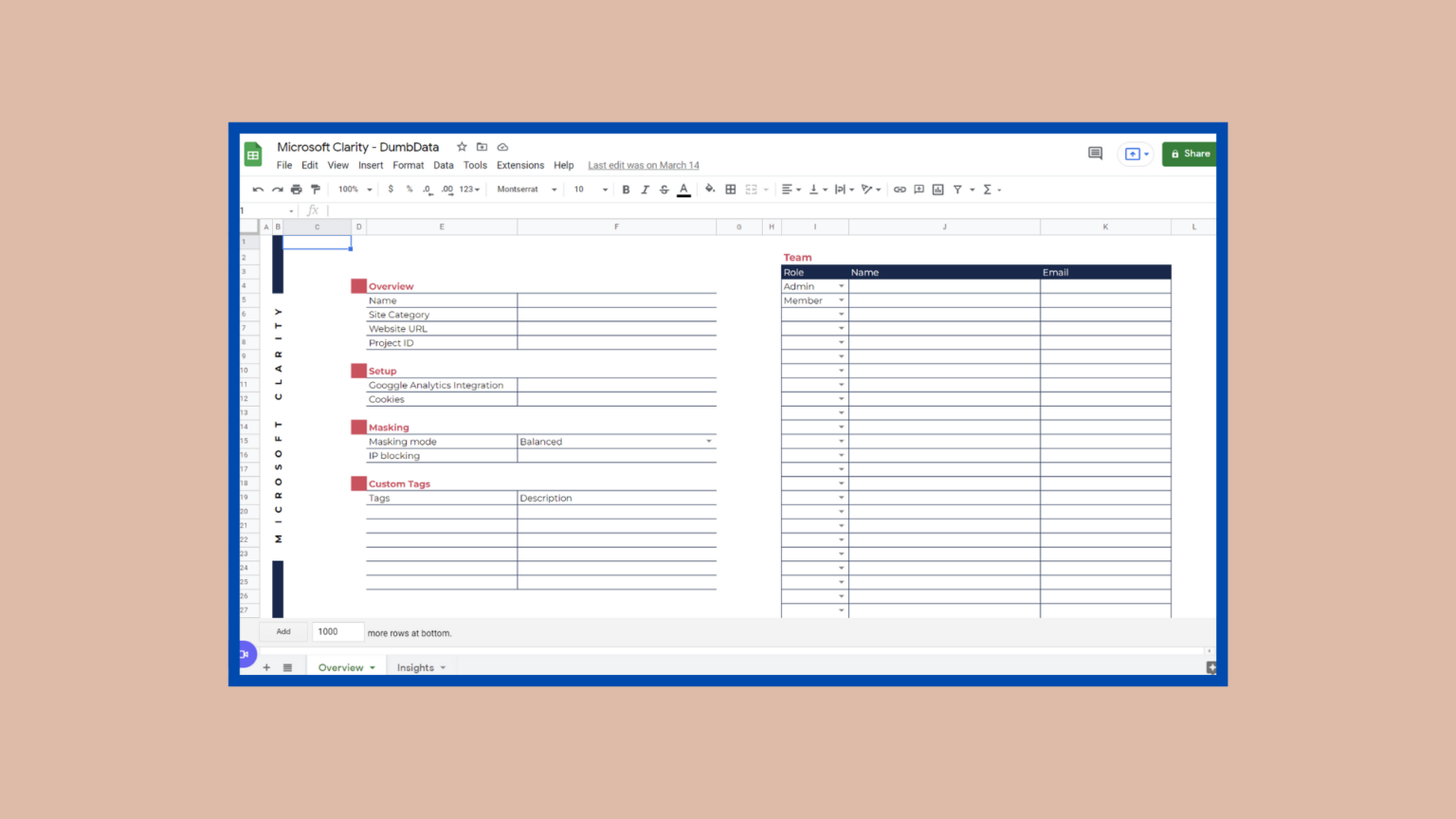 implementation worksheet – DumbData